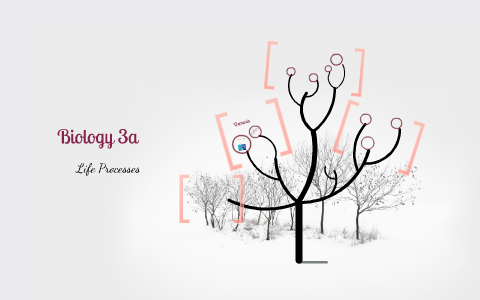 Biology 3a by Luc CH on Prezi