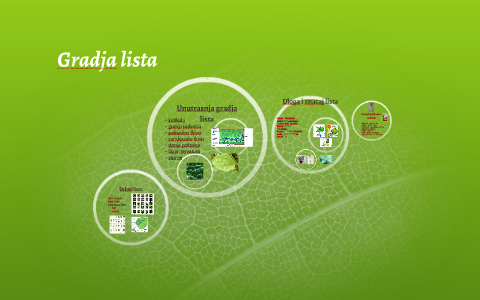 Gradja lista by Tatjana Tursijan on Prezi