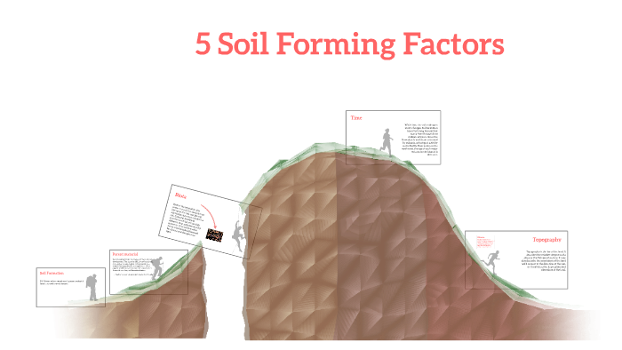 5 Soil Forming Factors by cole p on Prezi