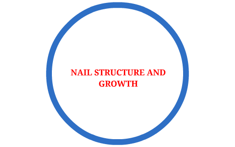NAIL STRUCTURE AND GROWTH by Liliana agustina on Prezi