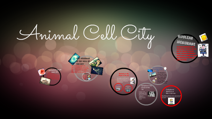 Animal Cell City by Shea Walsh on Prezi