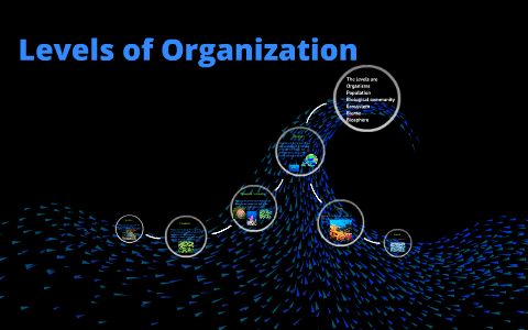 Levels of Organization by kacie johnson on Prezi