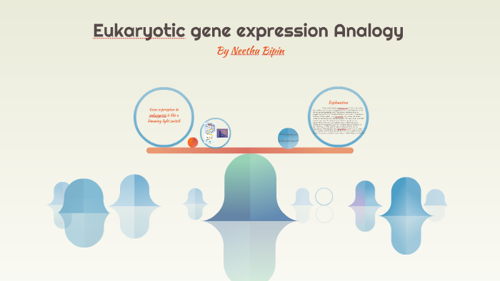 Eukaryotic gene expression Analogy by Neethu Bipin on Prezi