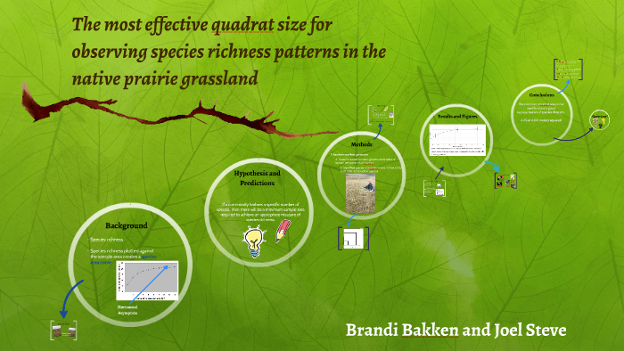The most effective quadrat size for observing species richne by Brandi ...