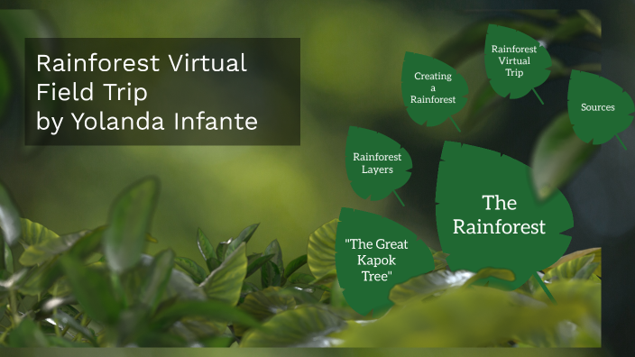 Rainforest Virtual Field Trip by Yolanda Infante on Prezi