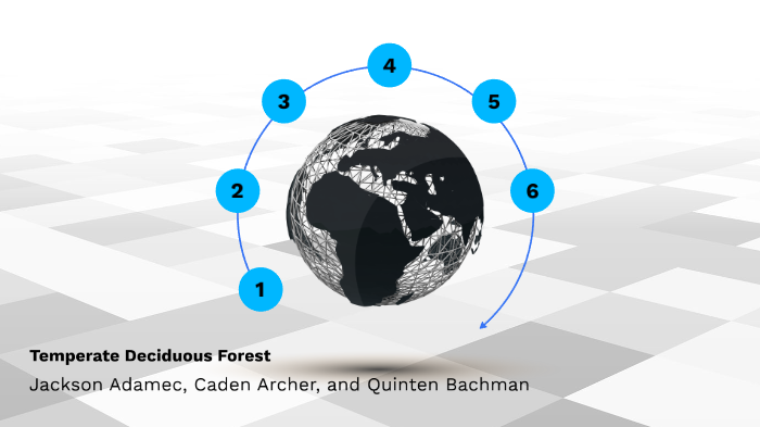 Temperate Deciduous Forest by Caden Archer on Prezi