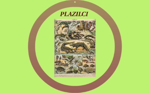 PLAZILCI by Hanija Bujas on Prezi