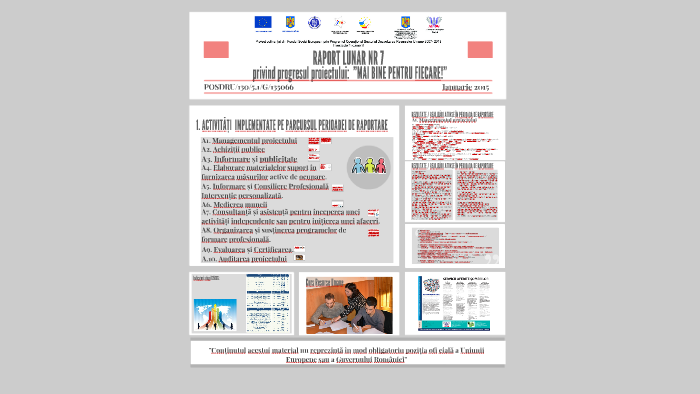 Raport lunar nr. 7 by Ionel Dobre on Prezi
