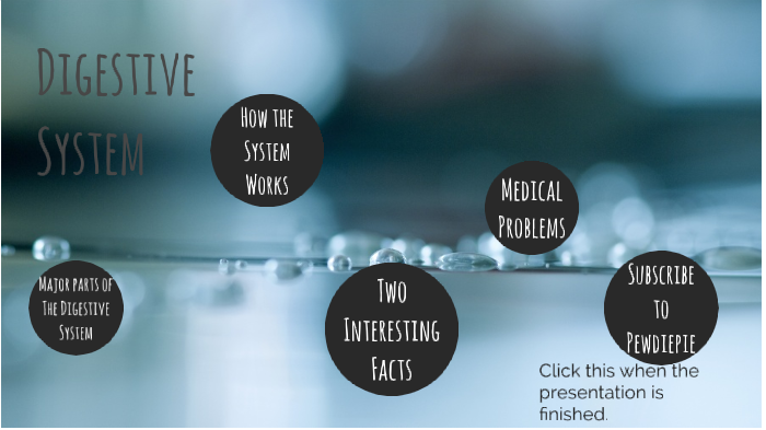 Digestive System by JC Pagz on Prezi