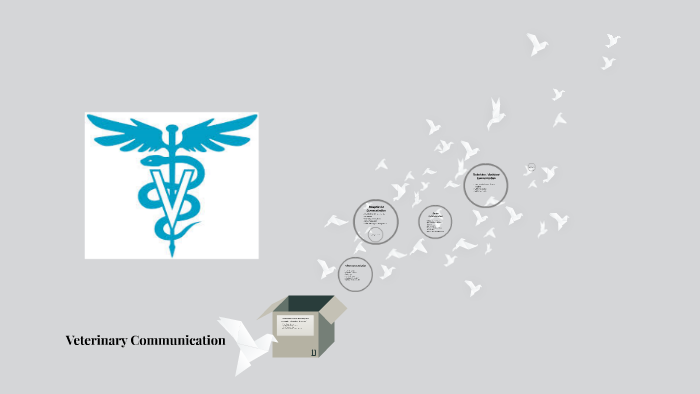 Communication In The Veterinary Field By Anne Hewitt communication-in-the-veterinary-field-by-anne-hewitt