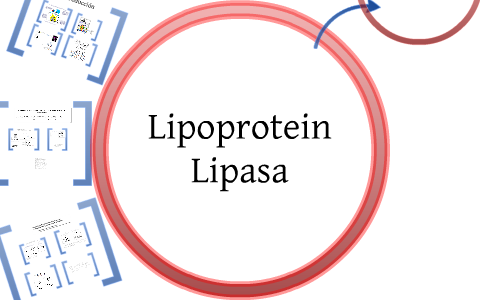 Presentación Lipoprotein Lipase 05-2012 by Pilar Moreno on Prezi