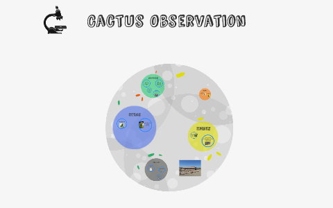 Cactus Observation by Ivan Soto on Prezi