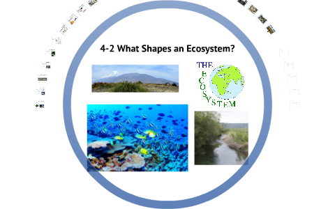 Biology Chapter 4 Section 2 What Shapes an Ecosystem? by Mark Meredith ...