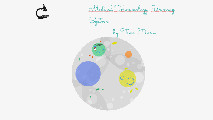 Medical Terminology: Urinary System by zharia Brown on Prezi