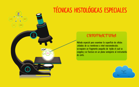 CRIOFRACTURA by on Prezi