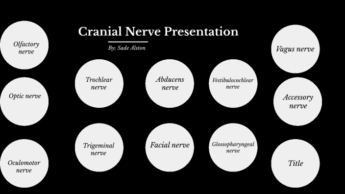 Cranial Nerve Presentation by Sade Alston on Prezi