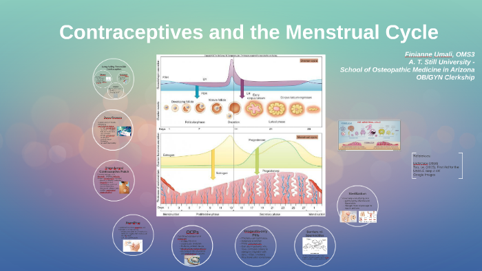 Contraceptives and the Menstrual Cycle by Finianne Umali on Prezi