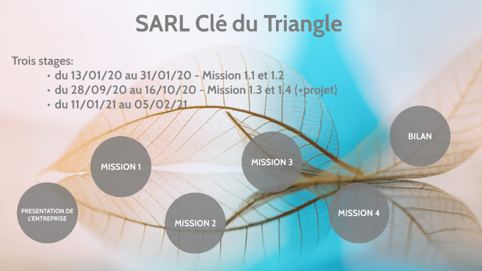 Stage BTS SAM by laetitia rance on Prezi