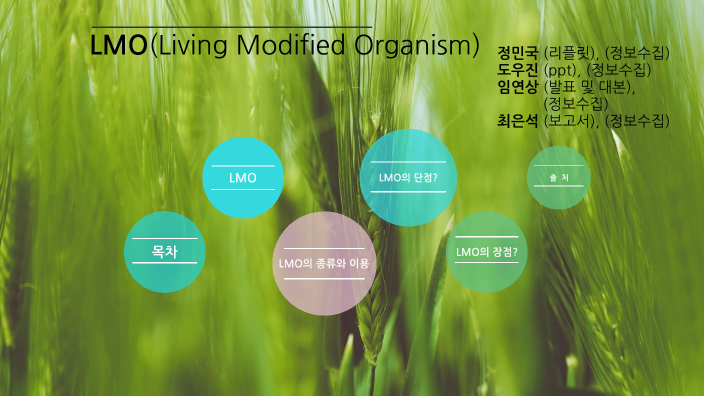 LMO by 정민국 on Prezi