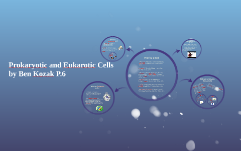 Prokaryotic and Eukarotic Cells by Ben Kozak P.6 by ben kozak