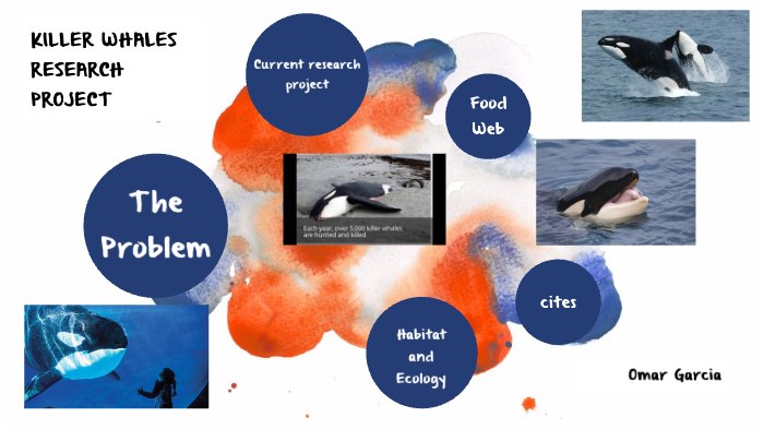 orca whale presentation by InvinsibleTimeDeity on Prezi