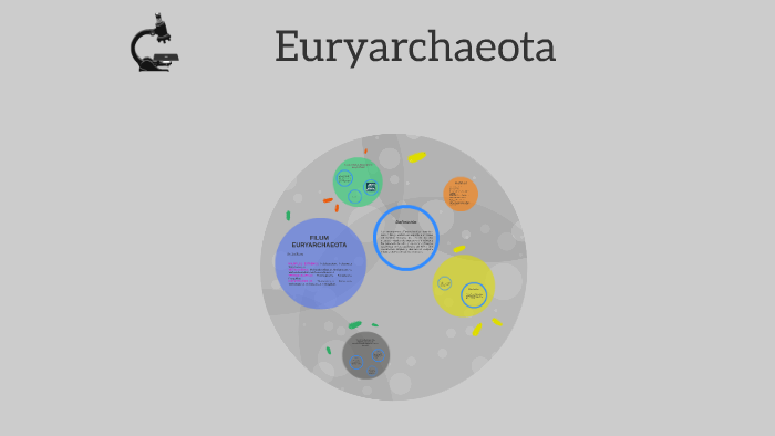 EURIARQUEOTAS. by Jonathan Fonseca on Prezi