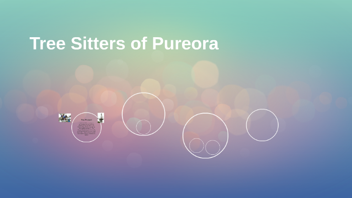 Tree Sitters of Pureora by Zachary Kraska on Prezi
