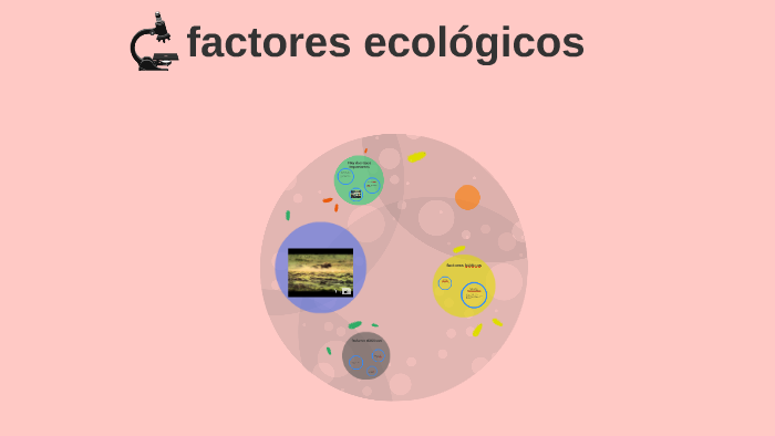factores ecológicos by Angèlica Weeke Zavala on Prezi
