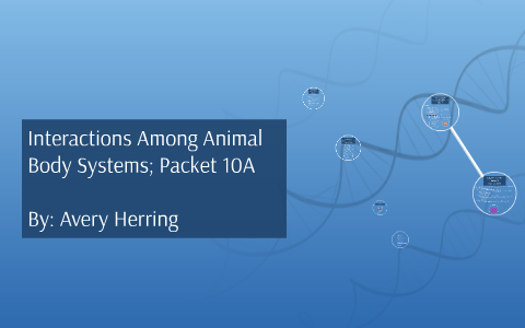 Interactions Among Animal Body Systems by Avery Herring on Prezi