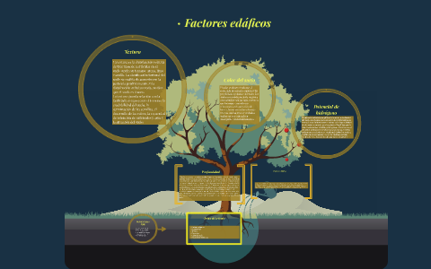 FACTORES EDAFICOS by juan pablo rodriguez maldonado on Prezi