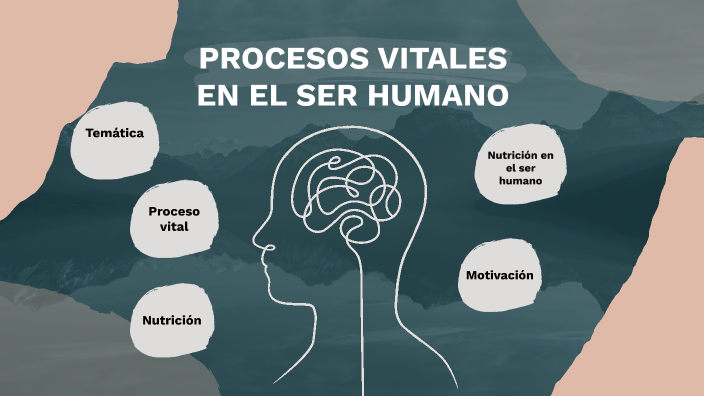 PROCESOS VITALES EN EL SER HUMANO by Dora Caceres on Prezi