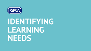 Identifying Learning Needs by Clare Frost on Prezi Design