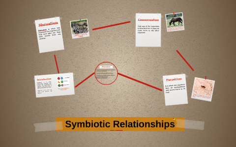 Symbiotic Relationships by libna ramos on Prezi