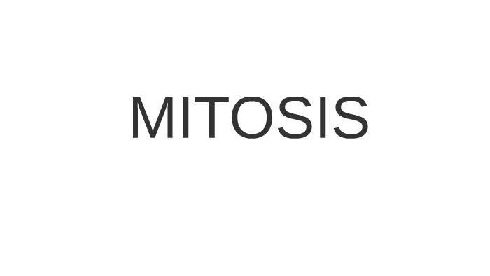 MITOSIS by Peter Gulian on Prezi