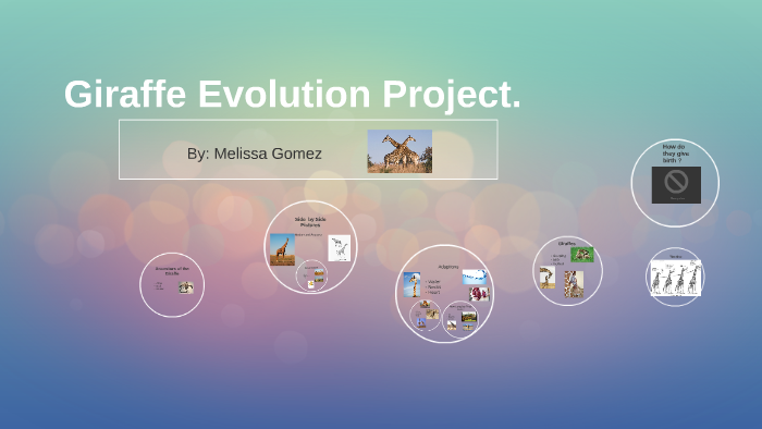 Animal Evolution Project. by Melissa Villagomez on Prezi