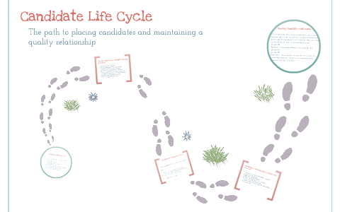 Candidate Life Cycle by Jennifer Boucher on Prezi