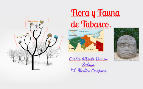Flora y Fauna de Tabasco. by Carlos Alberto Duran Salaya on Prezi
