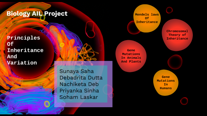 Biology AIL Project by Priyanka Sinha on Prezi