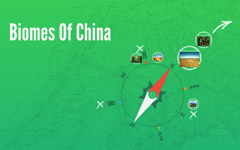 Biomes of China by Fiona n on Prezi