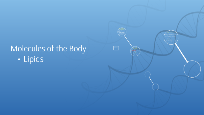 Molecules of the Body by Amani Alston on Prezi