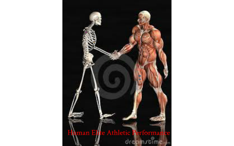 Human Elite Athletic Performance-skeletal system by samantha ovitt on Prezi