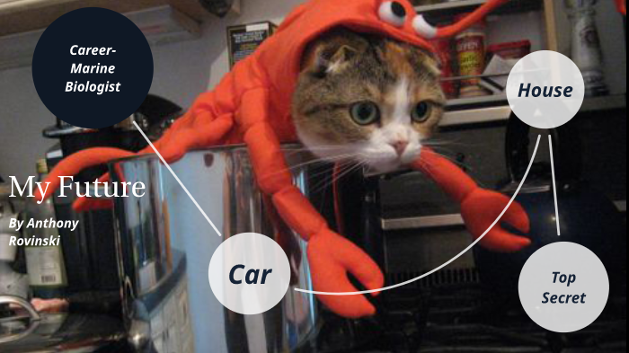 Future-Anthony Rovinski by Anthony Rovinski on Prezi