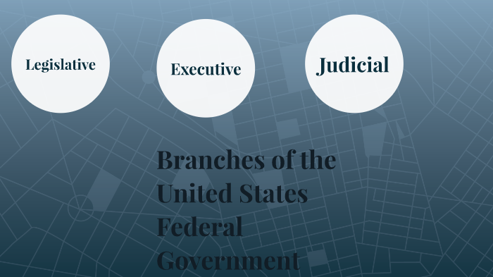 Branches of the United States Federal Government by Acki Meadows on Prezi