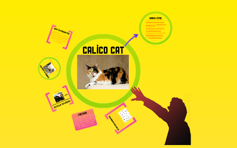 Epigenetics in Calico Cat by Jill Sanderson on Prezi
