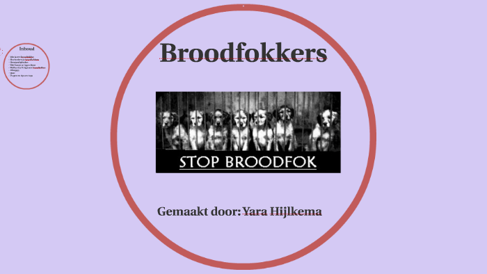 Broodfokkers by Vera Hijlkema on Prezi