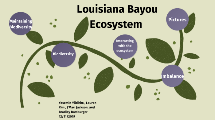 Ecosystems:Louisiana Bayou Ecosystem by Yasemin Yildirim on Prezi