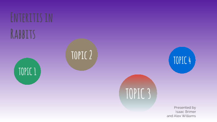 Enteritis in Rabbits by Isaac Brimer on Prezi