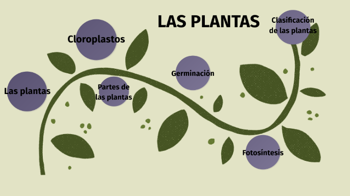 5to. Ciencias Naturales Las plantas by Edna Huertas on Prezi