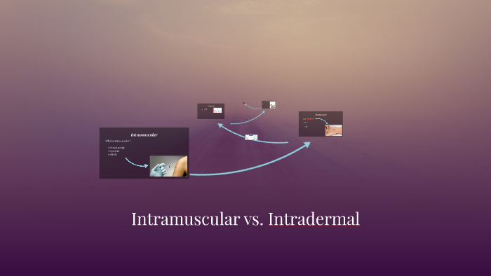 intramuscular vs. intradermal by Brenda Perdomo on Prezi