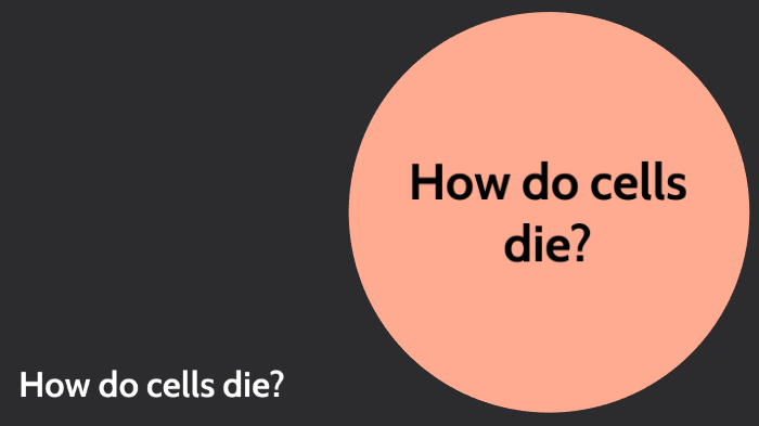 How cells die, skin cells, and hair cells by Mattie Tyler on Prezi